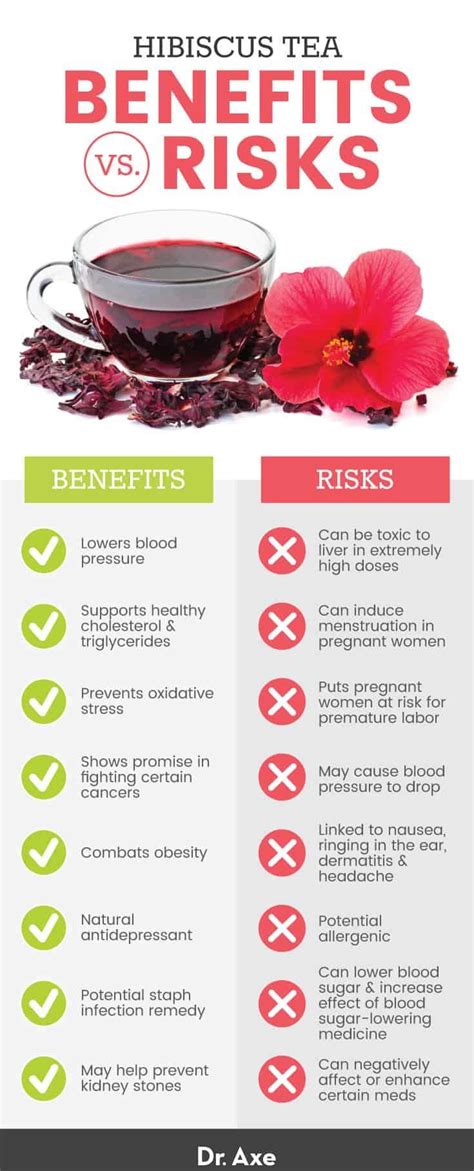 15 Hibiscus Tea Proven Benefits With Some Side Effects Teafame