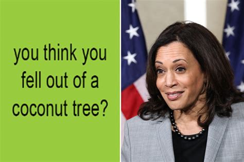 Kamala Harris Memes Break The Internet As Gen Z Rallies For The Coconut