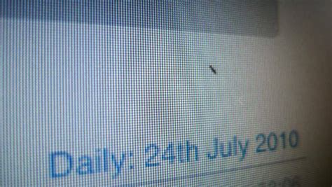 A Proper Computer Bug Not What You Need When Managing A Website