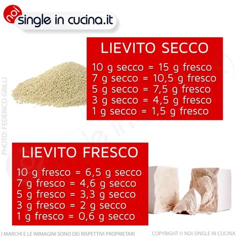 La Differenza Fra Il Lievito Di Birra Fresco E Secco NOI SINGLE IN CUCINA