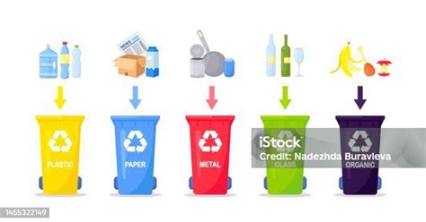 폐기물 수거 분리 및 재활용 쓰레기는 다른 유형으로 분리하고 폐기물 용기로 수집 다른 재료에 대한 각 쓰레기통 재활용에 대한 스톡 벡터 아트 및 기타 이미지 Istock