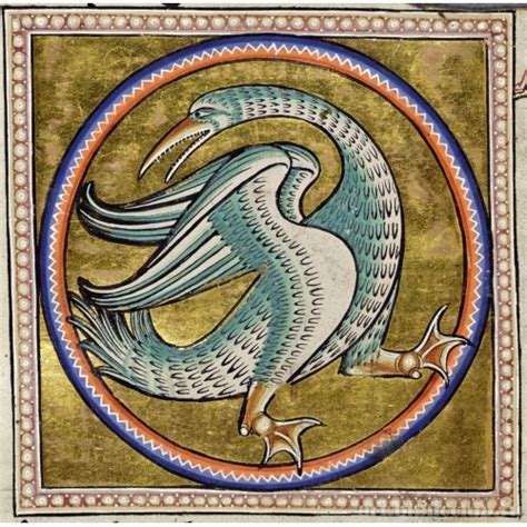 File:Синяя птица. Миниатюра из Абердинского бестиария.png - Wikimedia ...