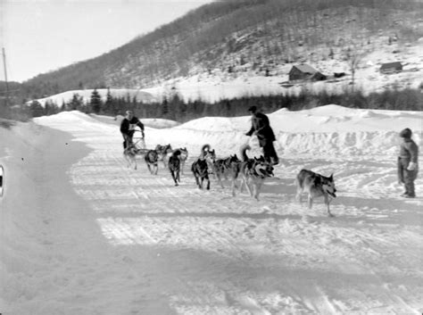 Traîneau à chiens de lutilitaire au loisir Avenues ca