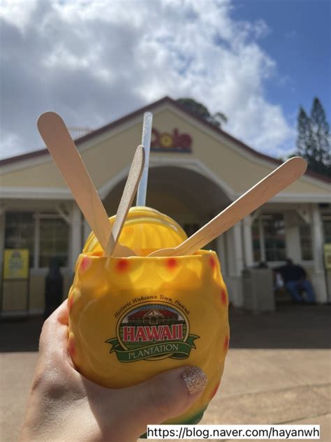 하와이 파인애플 농장 돌플렌테이션 Feat 기차아이스크림 네이버 블로그