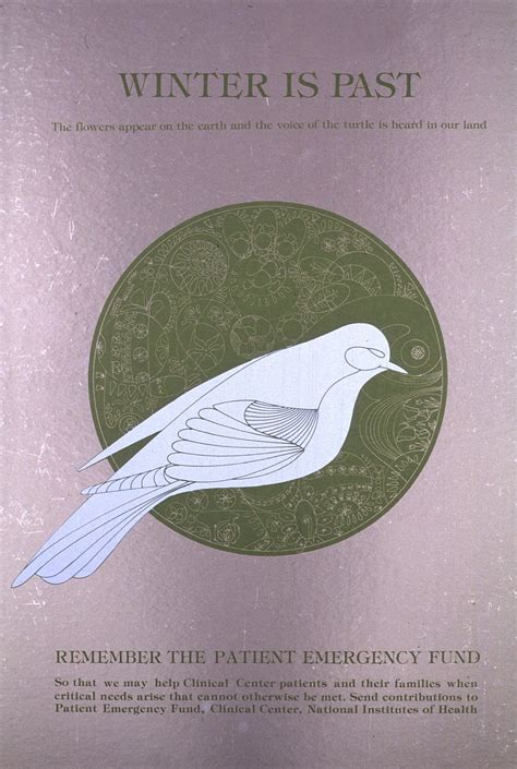 Elegance Flyer Background Images Free Photos Png Stickers Wallpapers And Backgrounds Rawpixel