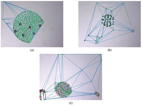 Automatic Detection Of Freshwater Phytoplankton Specimens In Conventional Microscopy Images
