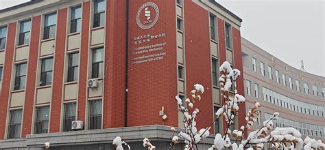 长春理工大学圣光机大学联合学院