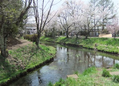 さらさら流れる「春の小川」はいずこ？東京五輪を機に地下に埋設され渋谷の地下でひっそりと【前編】 東京都 渋谷 ライフスタイル