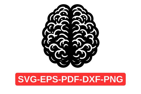 Detailed Brain Svg Image Cerebral Png Gráfico Por Artful Assetsy