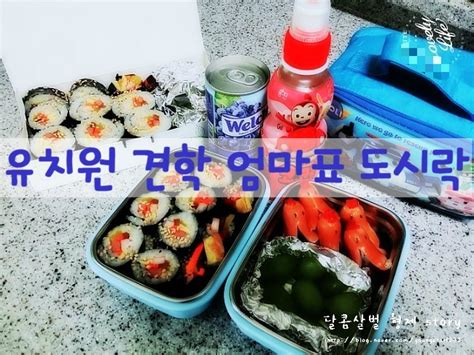 유치원견학 엄마표 도시락문어소세지 네이버 블로그