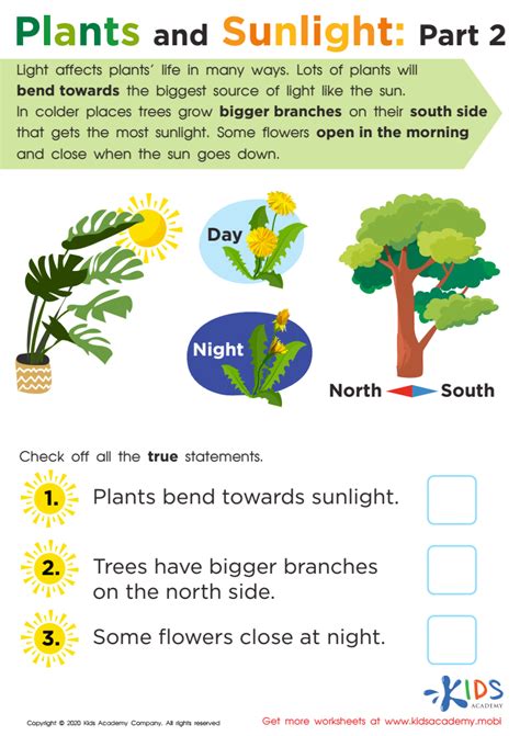 Science Worksheets For 1st Grade Plants Plants Teaching Resources For