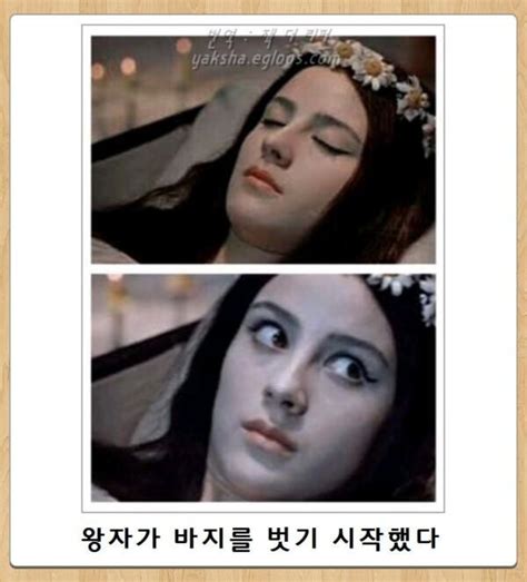 19 제목학원 섹드립 모음 Zip 유머 움짤 이슈 에펨코리아