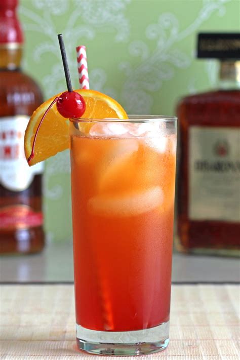 Alabama Slammer Mix That Drink Fruity Drinks Coctails Recipes
