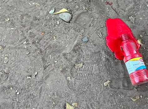 Sogra em fúria mulher contrata trio para jogar tinta vermelha em