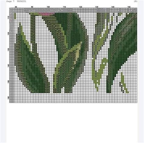 Pin By Clementina Mieses On Punto De Cruz Patrones Cactus Plants
