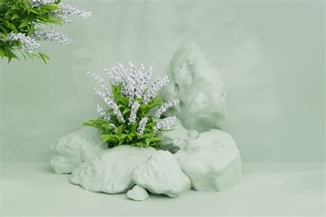 자연 연단 3d 렌더링 전시회 제품 발표 휴식 및 건강을 위한 모형 0명에 대한 스톡 사진 및 기타 이미지 0명 3차원