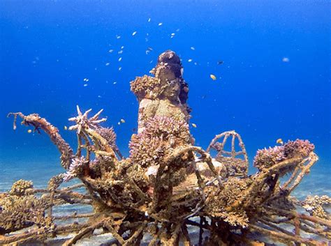 Biorock Indonesia Is Restoring Coral With Electrified Reefs Atlas Of The Future