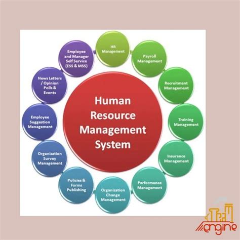 Human Resource Management System Artofit