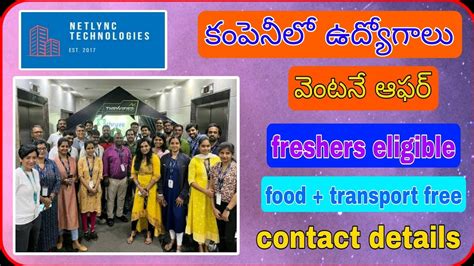 Netlync Technology Company Recruitment For Freshers Full Information