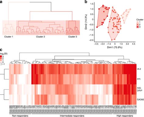 Hierarchical Clustering Of Individuals Based On Beta Cell Specific T Download Scientific