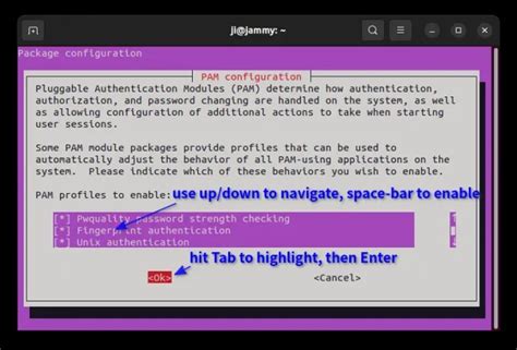 Enable Fingerprint Reader In Ubuntu 24042204 For Thinkpad T480s
