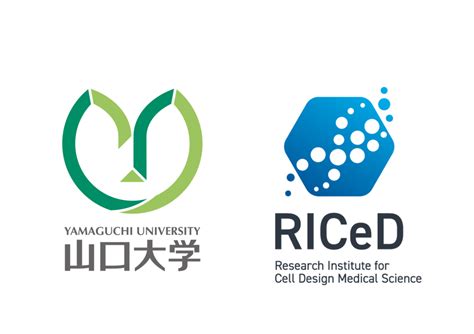 山口大学 細胞デザイン医科学研究所