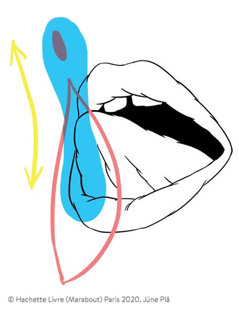 Manual De Instruções Da Xoxota Clube Do Orgasmo