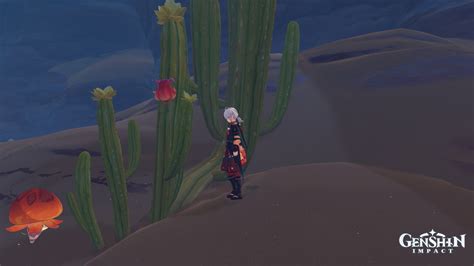 Genshin Impact All Redcrest Locations And Redcrest Farming Routes Vg247