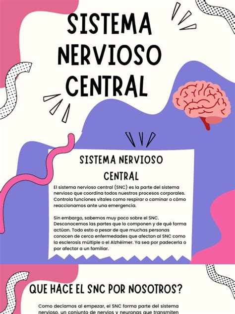 Sistema Nervioso Central | PDF
