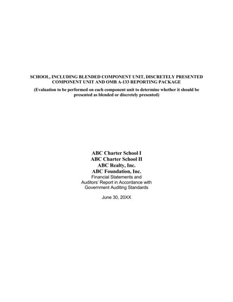 Audit Sample Reporting Package Network A 133 And Cu 9 5