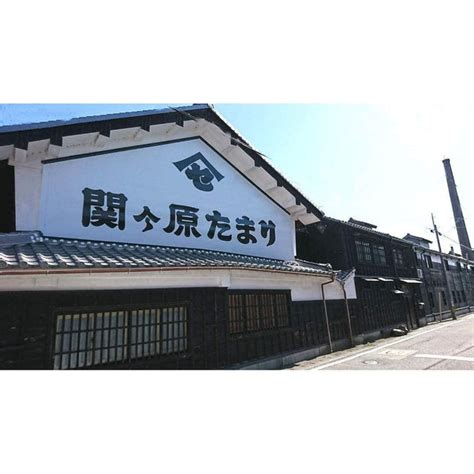 Buy Original Tamari Soy Sauce Online Japanese Taste