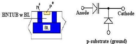 The Cross Section And Symbolic Representation Of The P N Junction