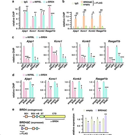 Chip Seq Analysis Shows Major Nipbl Localization At Promoter Regions A