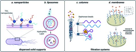 Aptamer Based Methods For Sequestration Of Environmental Contaminants Download Scientific