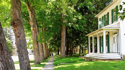 Why You Should Think Twice Before Planting A Tree Close To Your Sidewalk