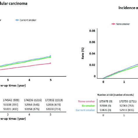 Incidence Of A Hepatocellular Carcinoma And B Cardiovascular