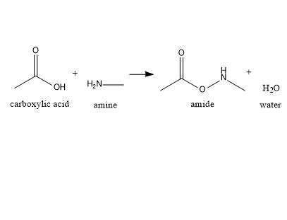 Amides Are Derivatives Of And A Alcohols Carboxylic Acids B Alkanes