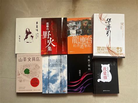 150全部 張愛玲龍應台小川系唐七公子中文小說散文集 華麗緣 野火集 香港筆記 山茶文具店 請用文明來說服我 美麗的權利 我是貓 日文