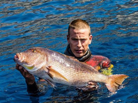 Bio Spearfishing Life Bio Spearfishing Life