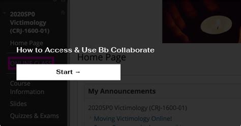 How To Access And Use Bb Collaborate
