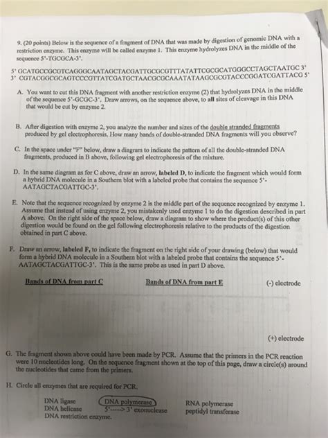 Solved DNA Chegg