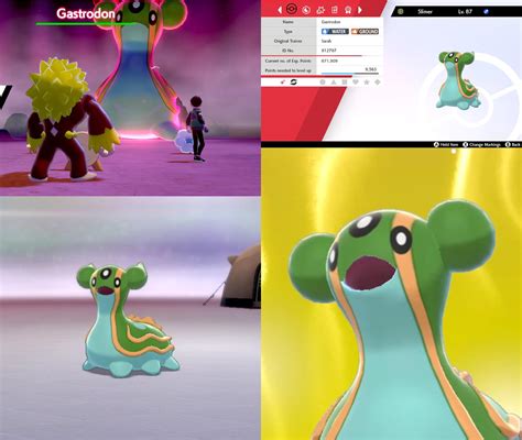 Shiny Gastrodon