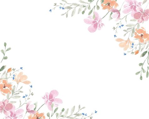 Pink And Yellow Wild Watercolor Flower Border 41640438 Vector Art At