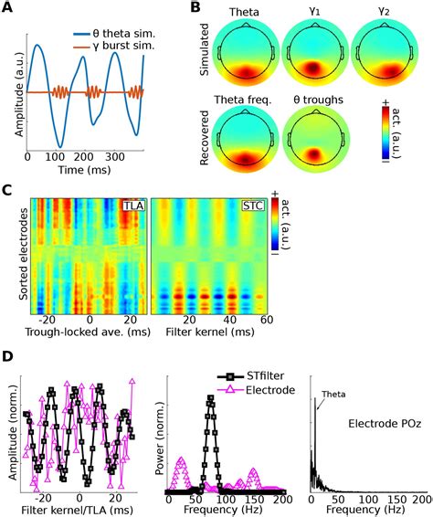 Figures And Data In Multivariate Cross Frequency Coupling Via Generalized Eigendecomposition Elife
