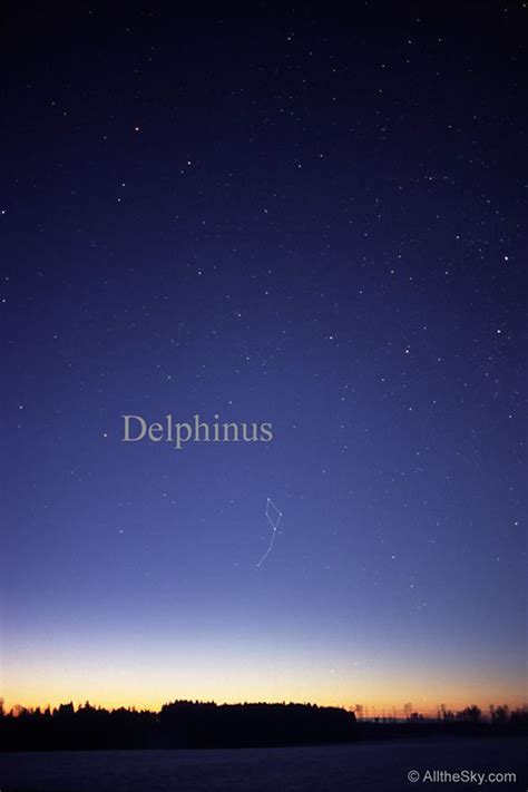 Visual Constellation Photos Delphinus The Dolphin Constellations