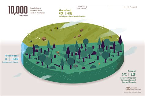 Visualizing The Worlds Loss Of Forests Since The Ice Age