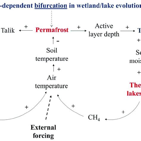 System Diagram For Permafrost Related Regime Shifts Right Loop From
