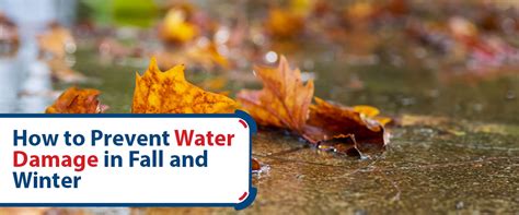How To Prevent Water Damage In Fall And Winter