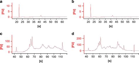Representative Electropherogram Of Bioanalyzer Analysis Of Total Rna